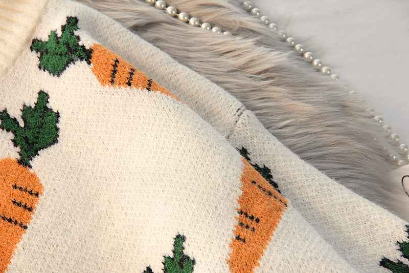 Cute Carrot Sweater PN2783 – Pennycrafts