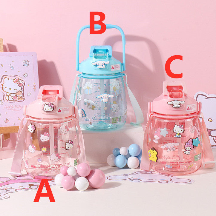 Cute Anime Water Bottle PN4813 – Pennycrafts