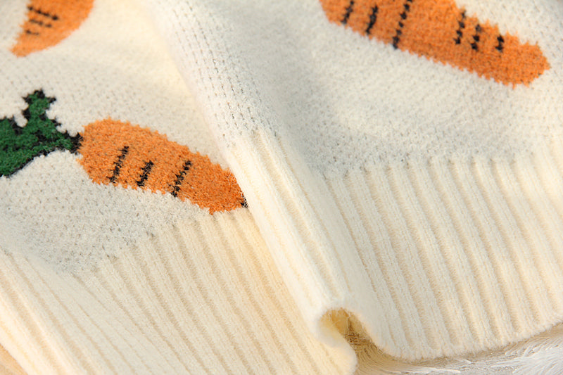 Cute Carrot Sweater PN2783 – Pennycrafts