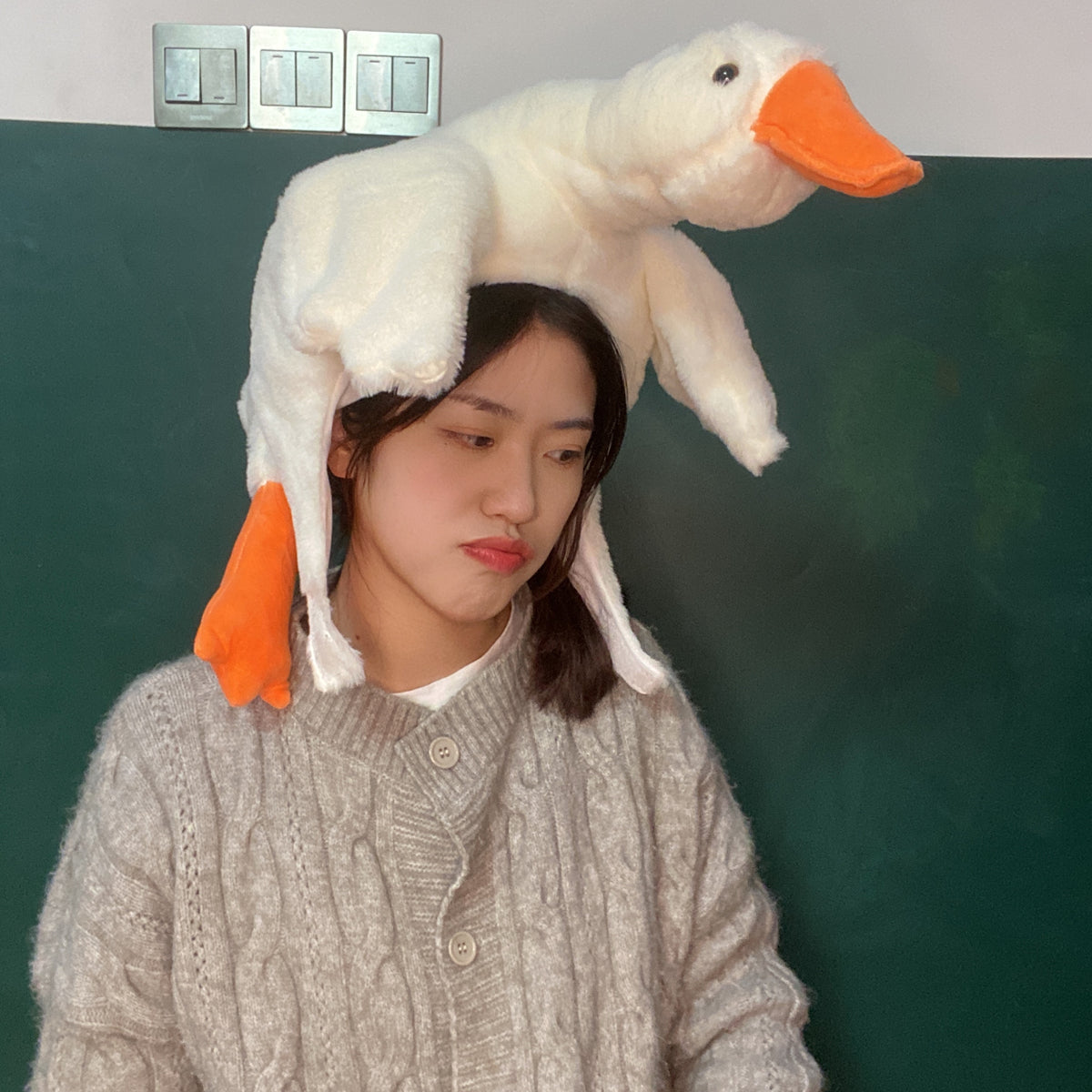 Funny Duck Hat PN5817 – Pennycrafts