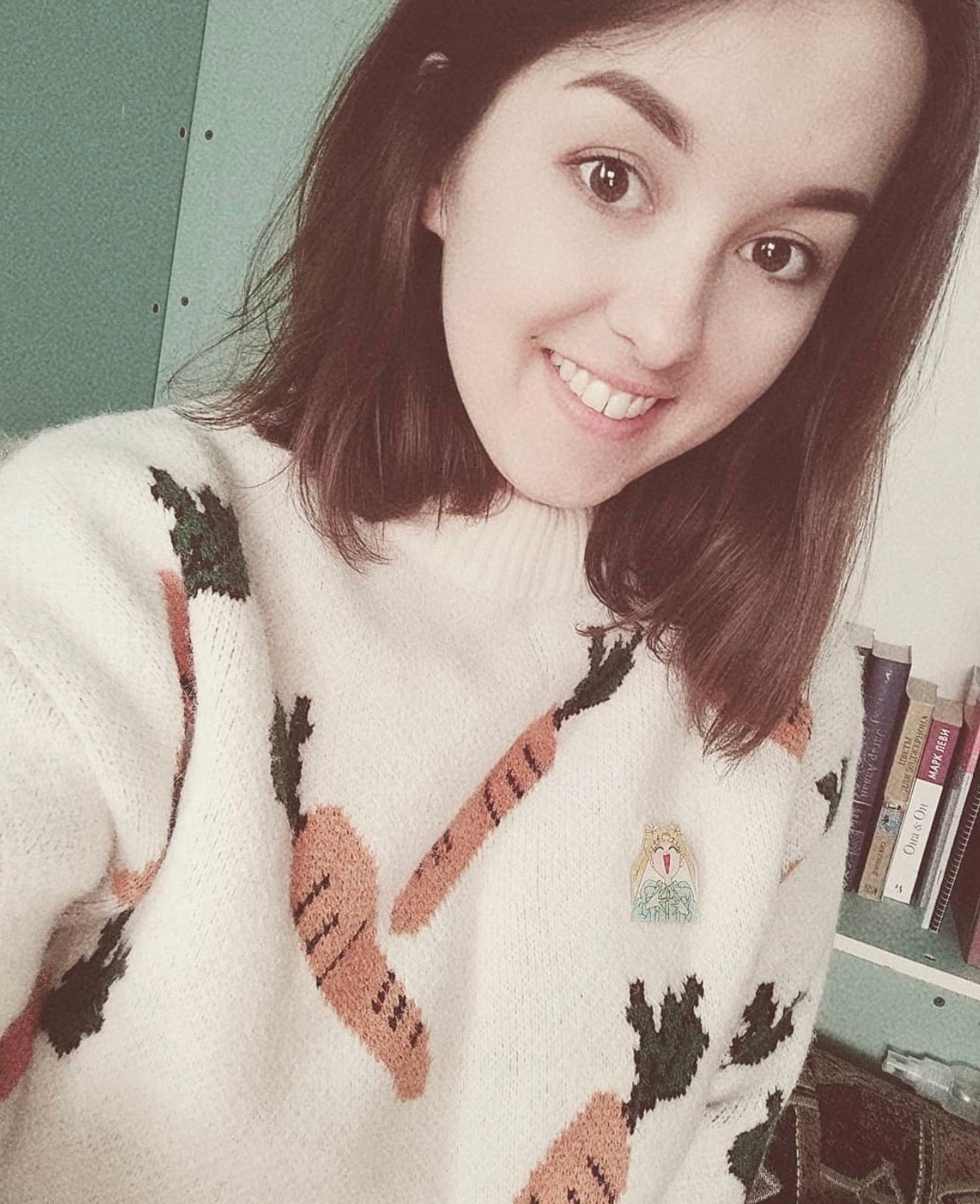 Cute Carrot Sweater PN2783 – Pennycrafts